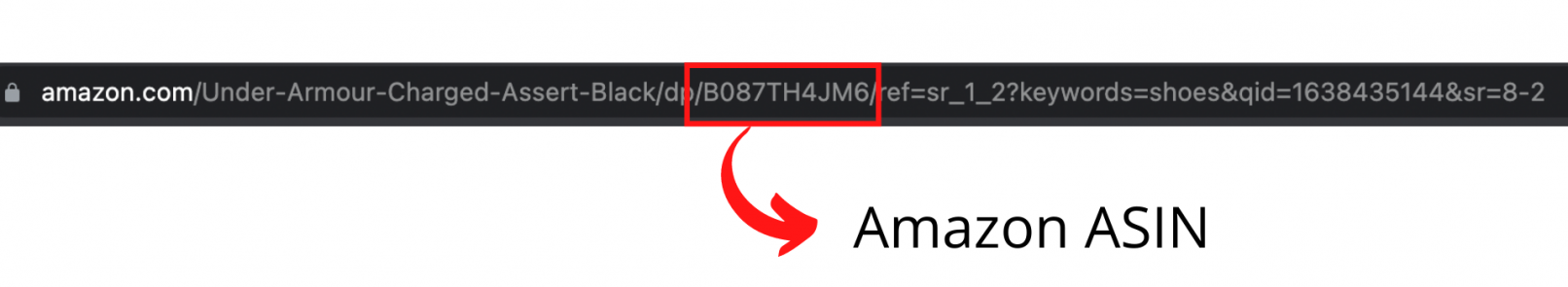 What Is【Amazon ASIN Number】And How To Get One? 🤔